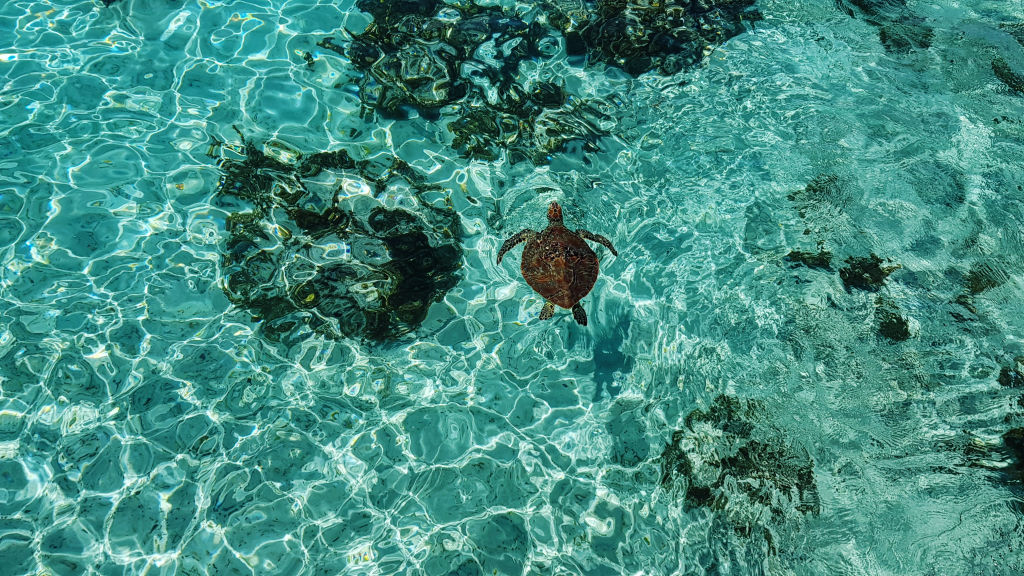 Turismo Sostenible en San Andres Isla